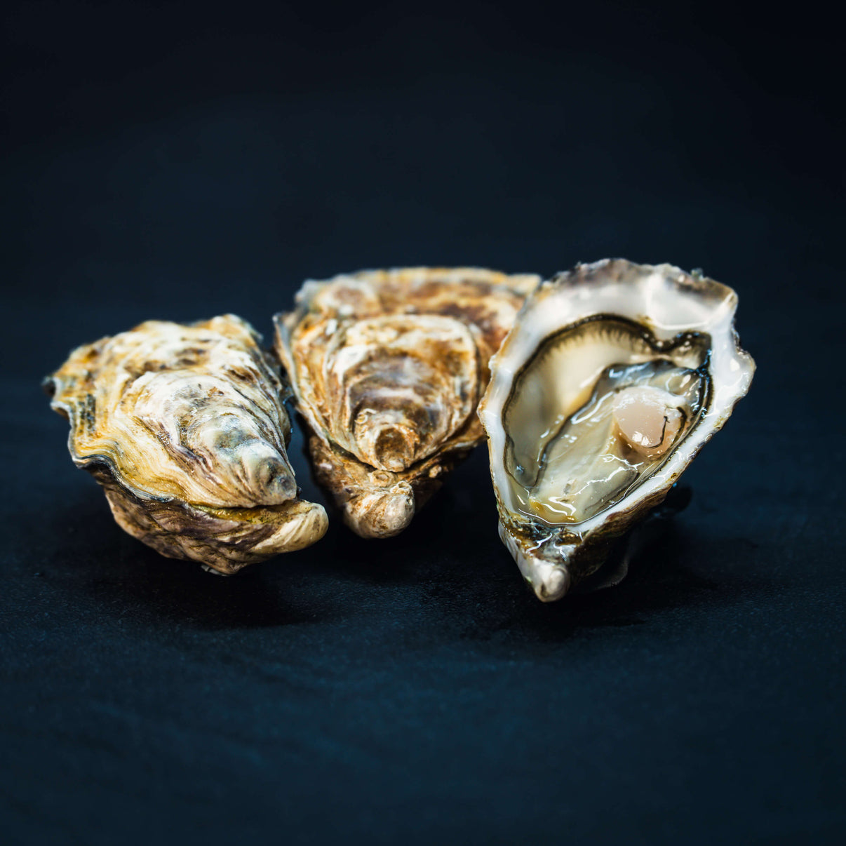 Tia Maraa Irish Oysters - Canada | Oysters & Caviar | Distributor